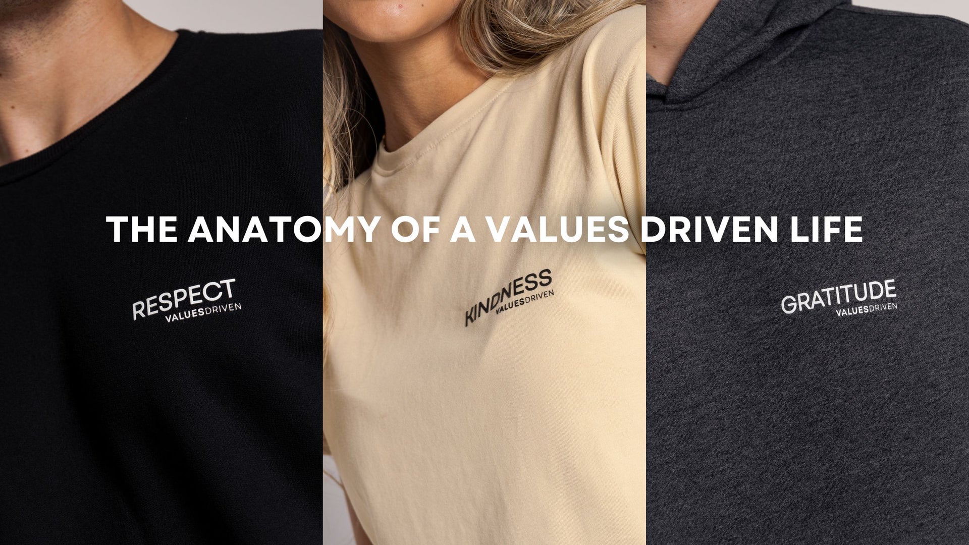 The Anatomy of a Values Driven Life